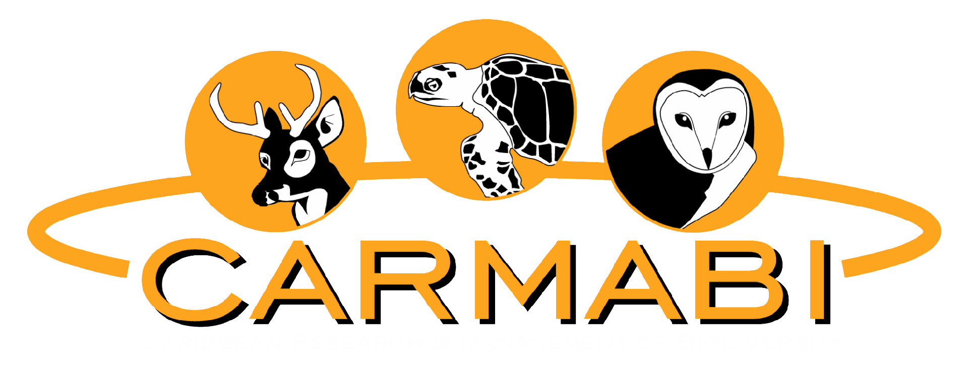 consultancy research | Carmabi