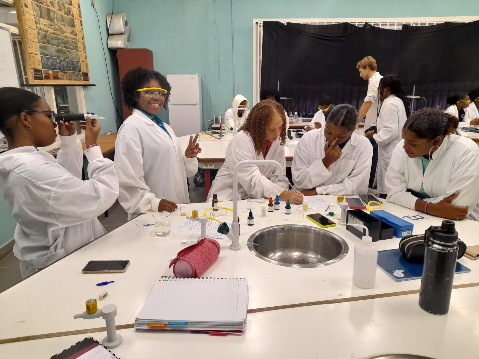 nme-what-we-do | Carmabi