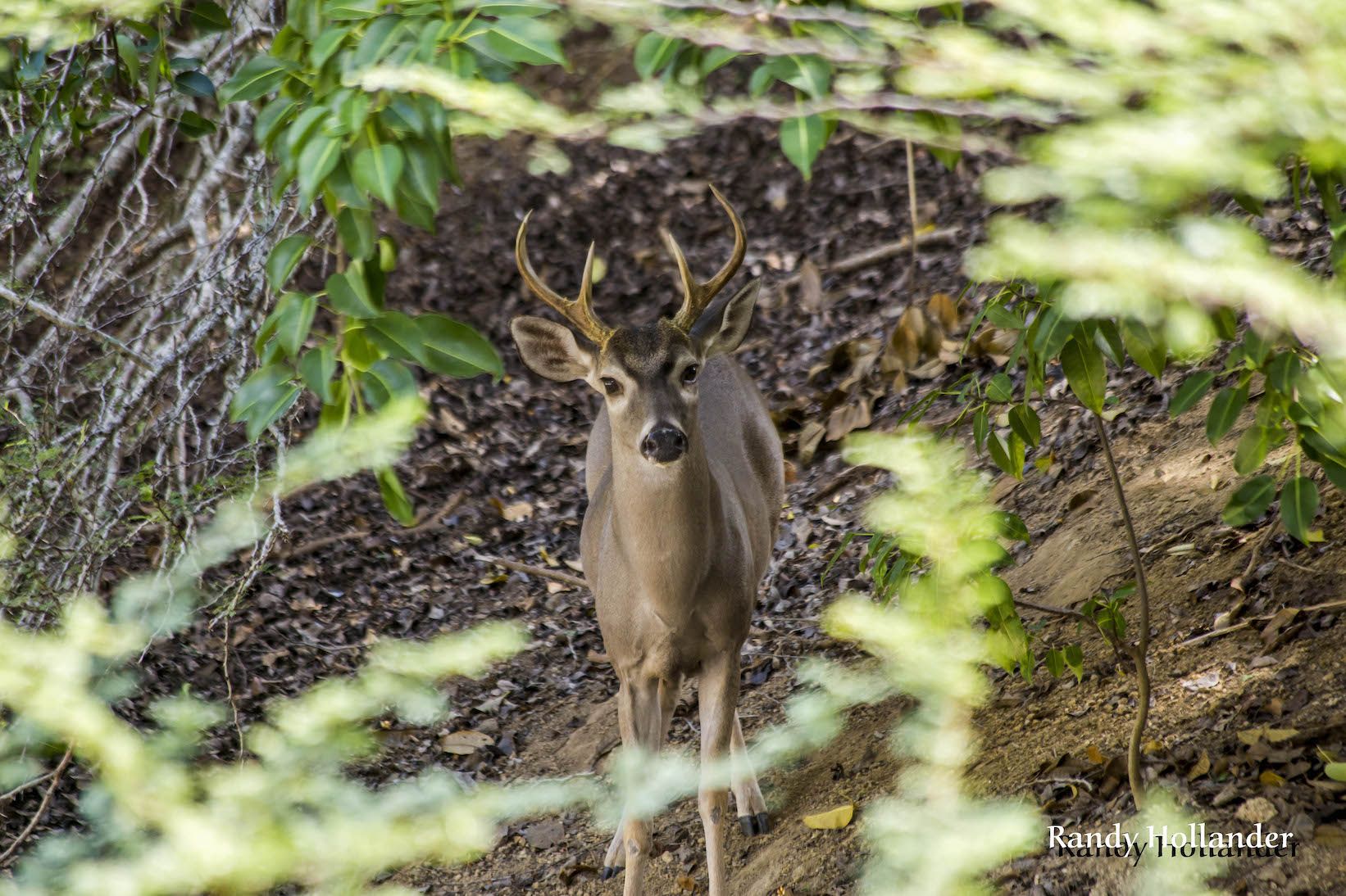 Carmabi Annual Reports | Carmabi