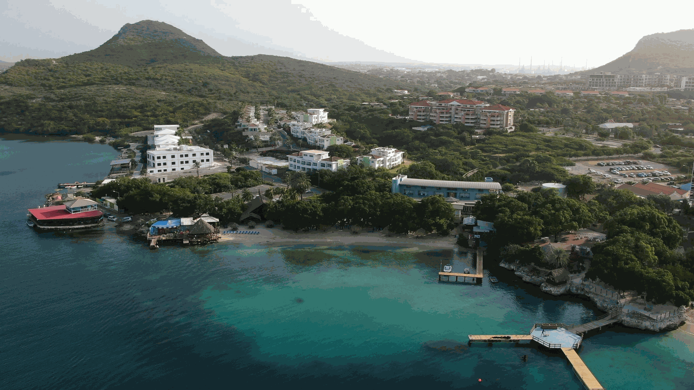 carmabi organisation | Carmabi