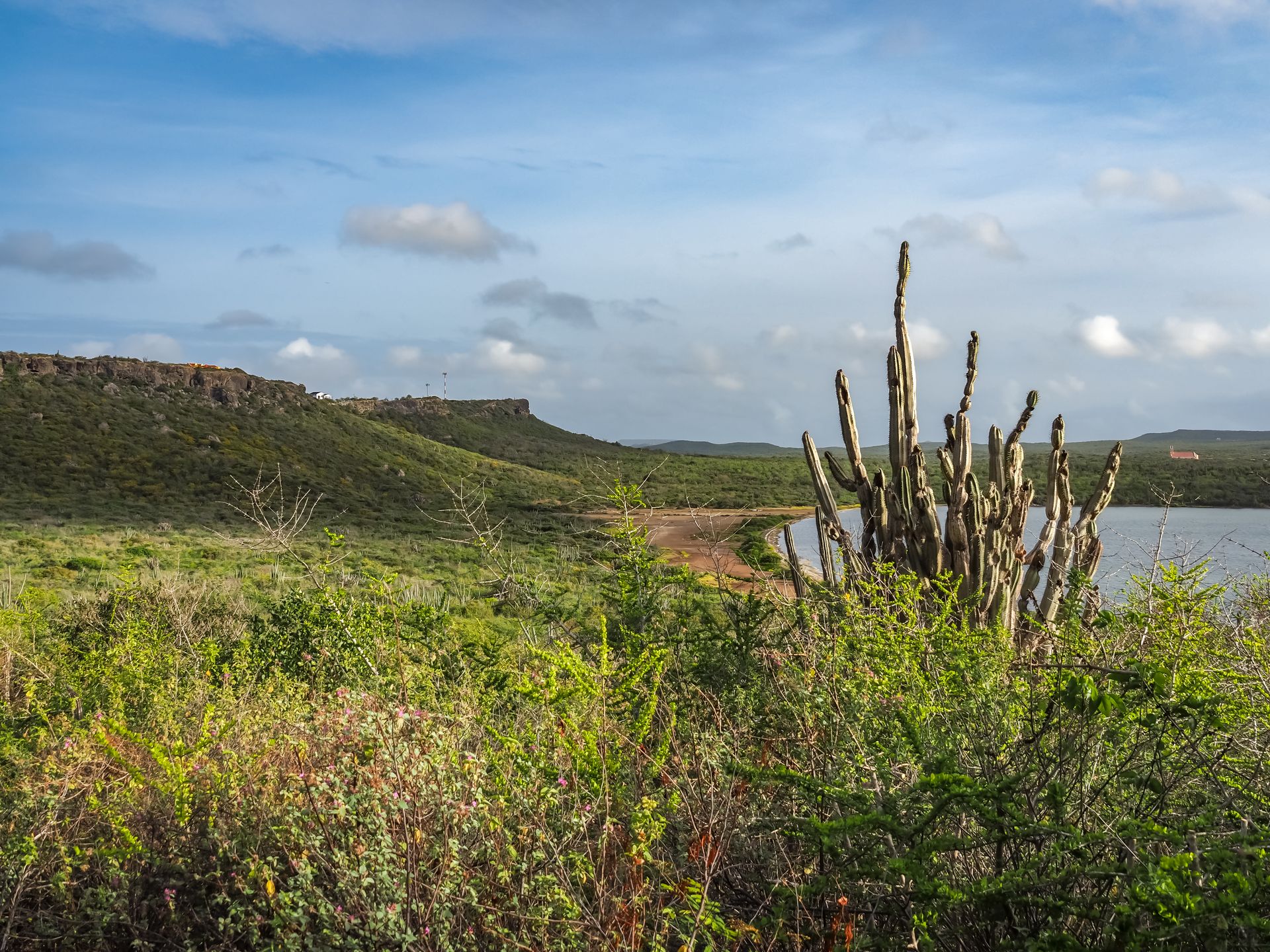 PARK MANAGEMENT | Carmabi