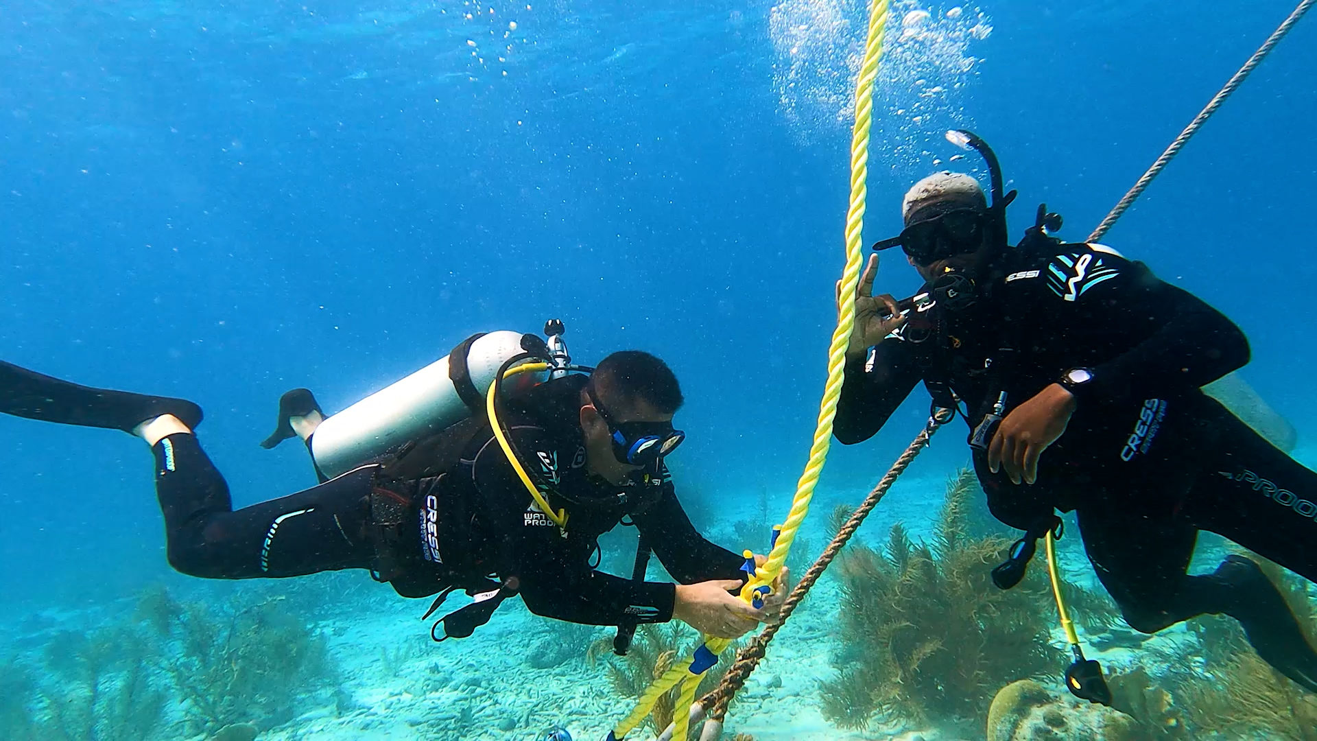 Presskit-Marinepark | Carmabi