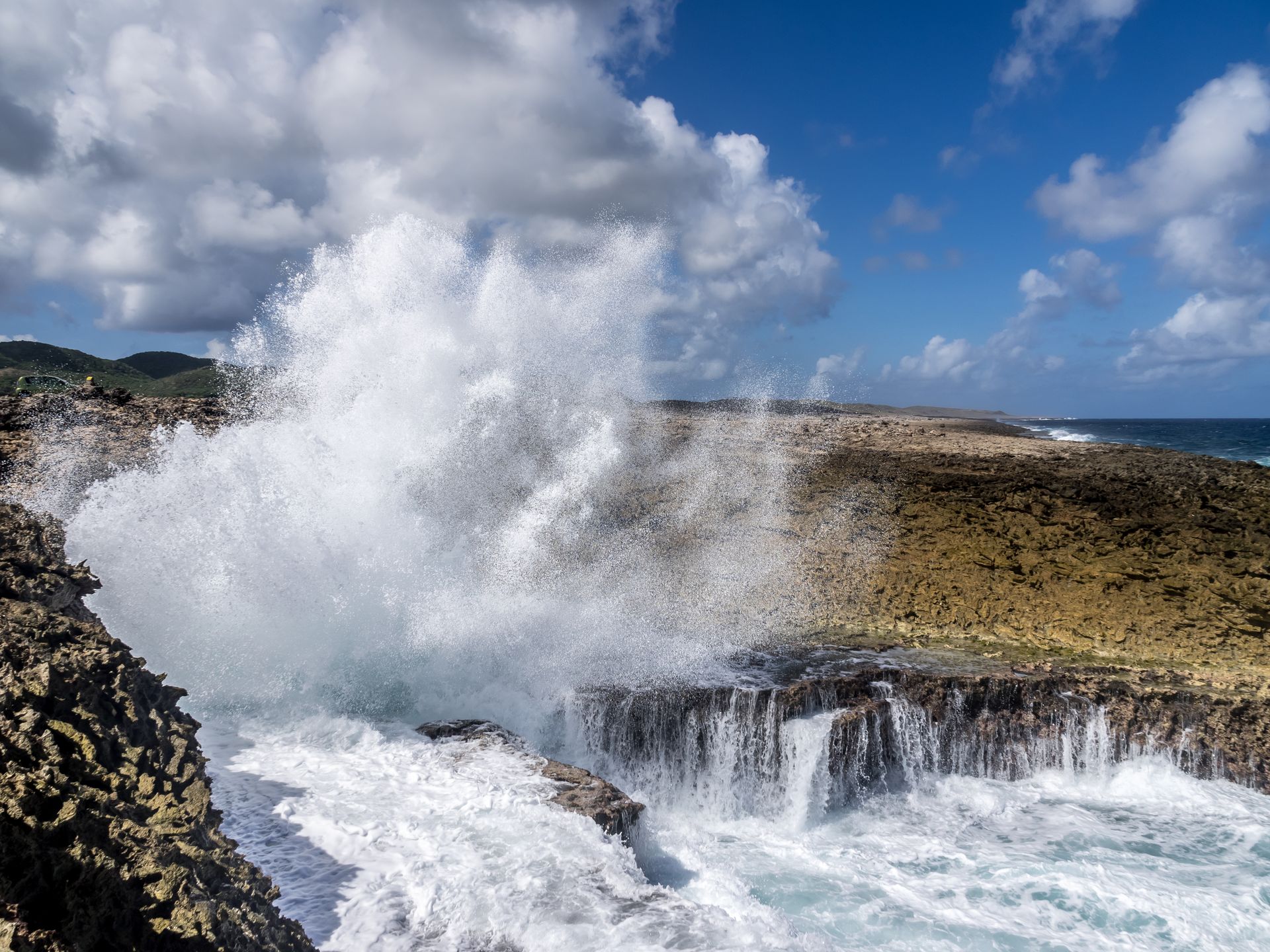 Sheteboca-Press-Kit | Carmabi