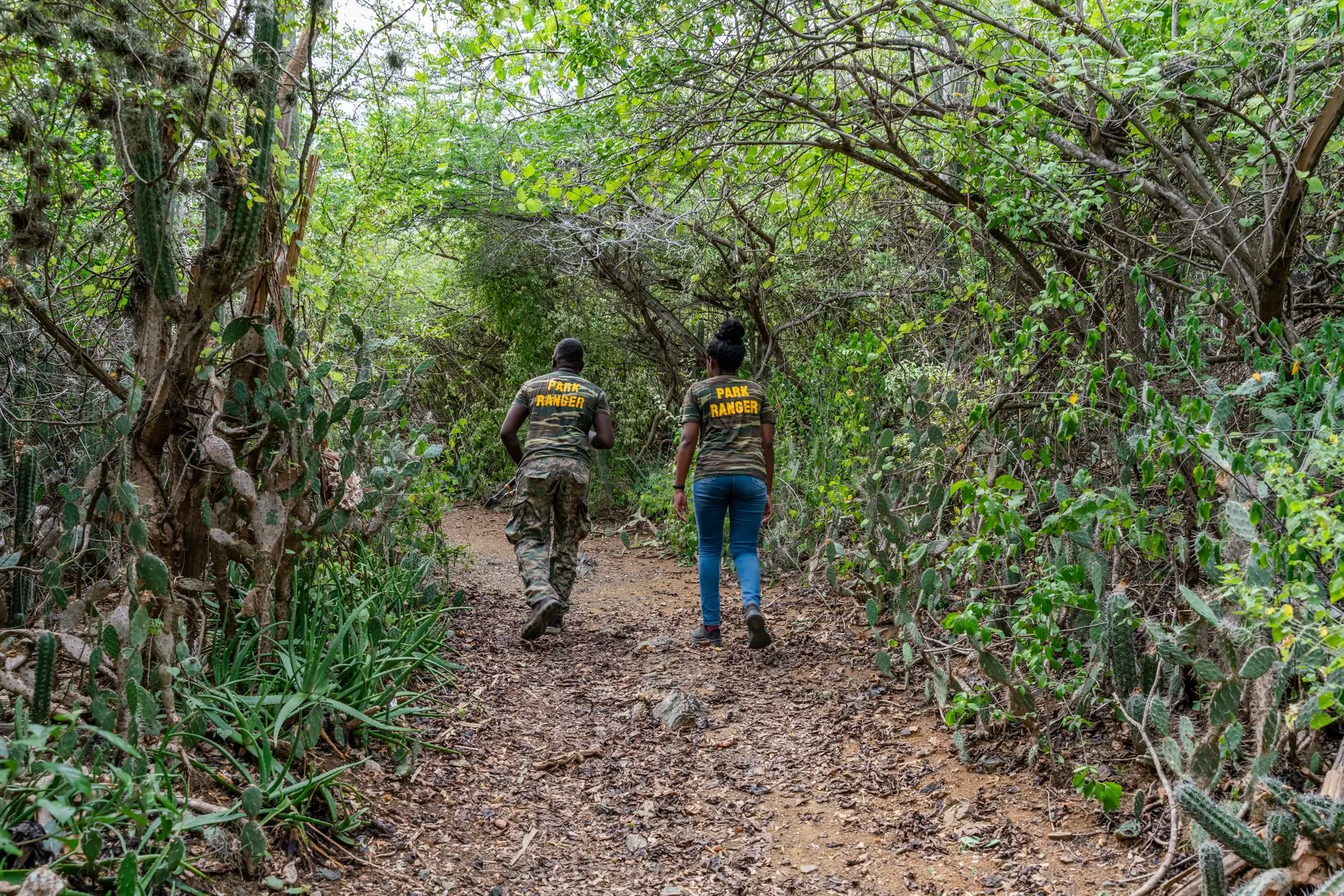 Join Our Team as a Terrestrial Conservation Operations Supervisor | Carmabi