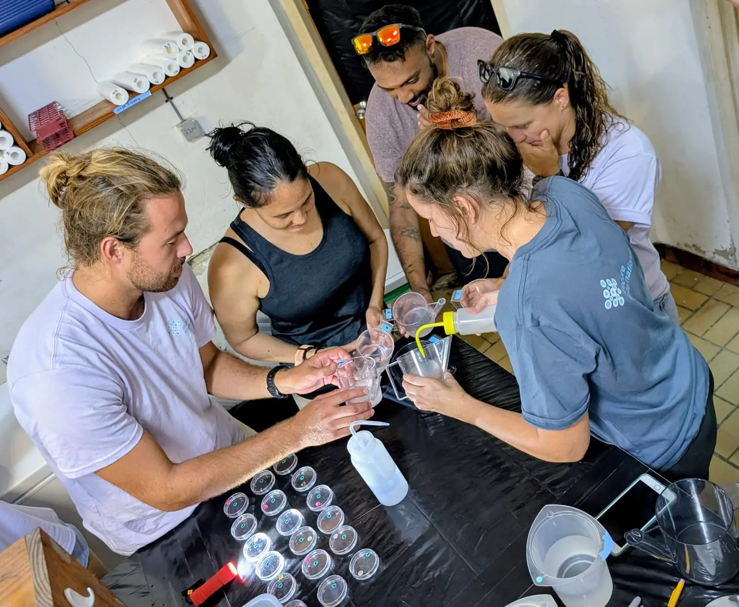 Press Release: Many and Diverse Groups Participate in Successful Coral ...