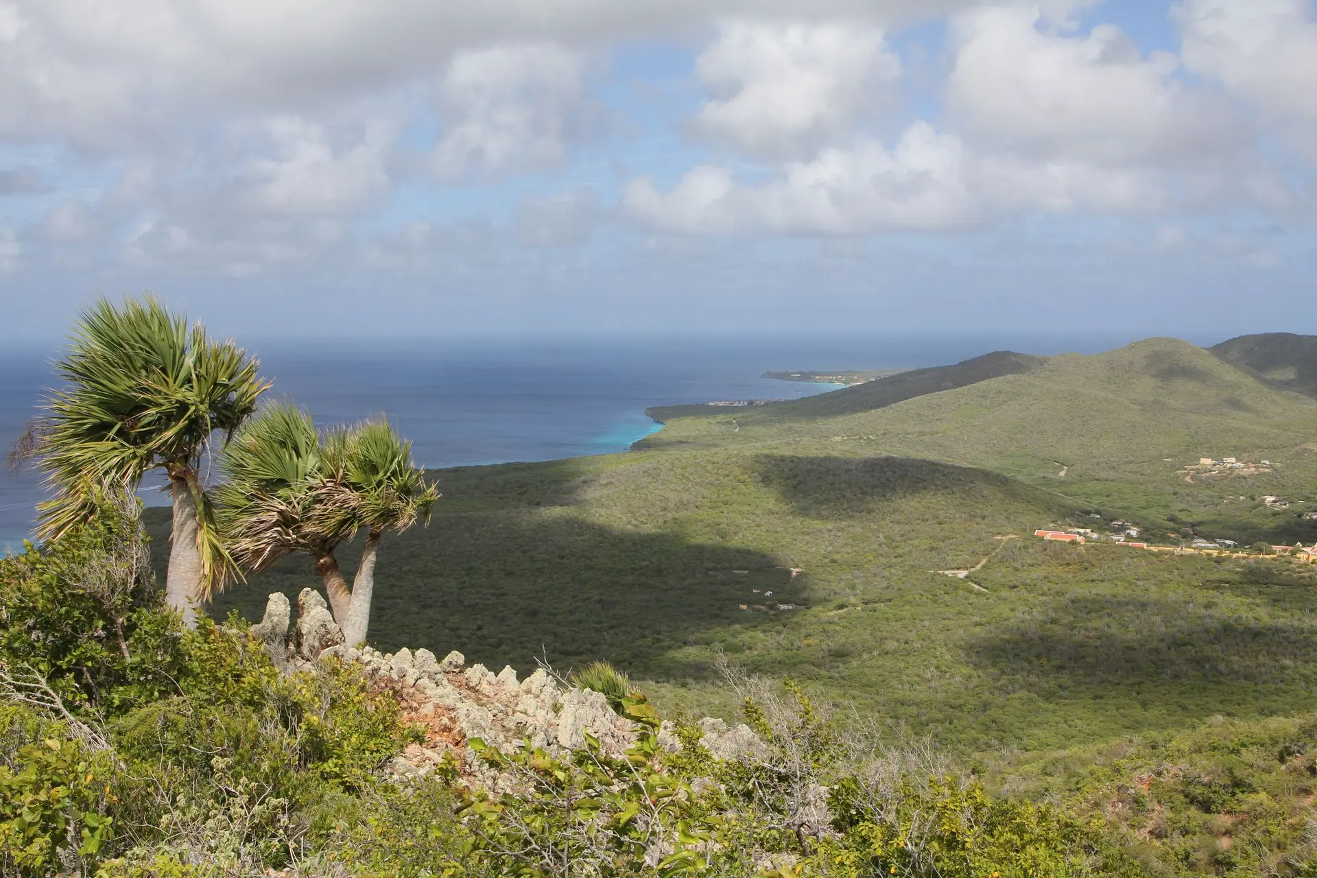 Join our team as a Field Researcher at Carmabi | Carmabi